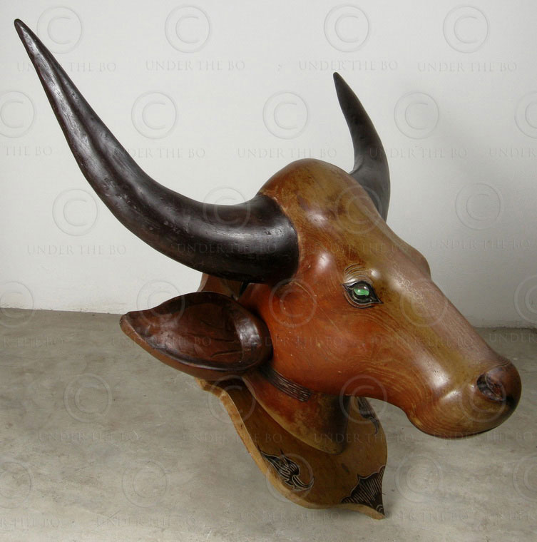 Ox head trophy T355. Northern Thailand.