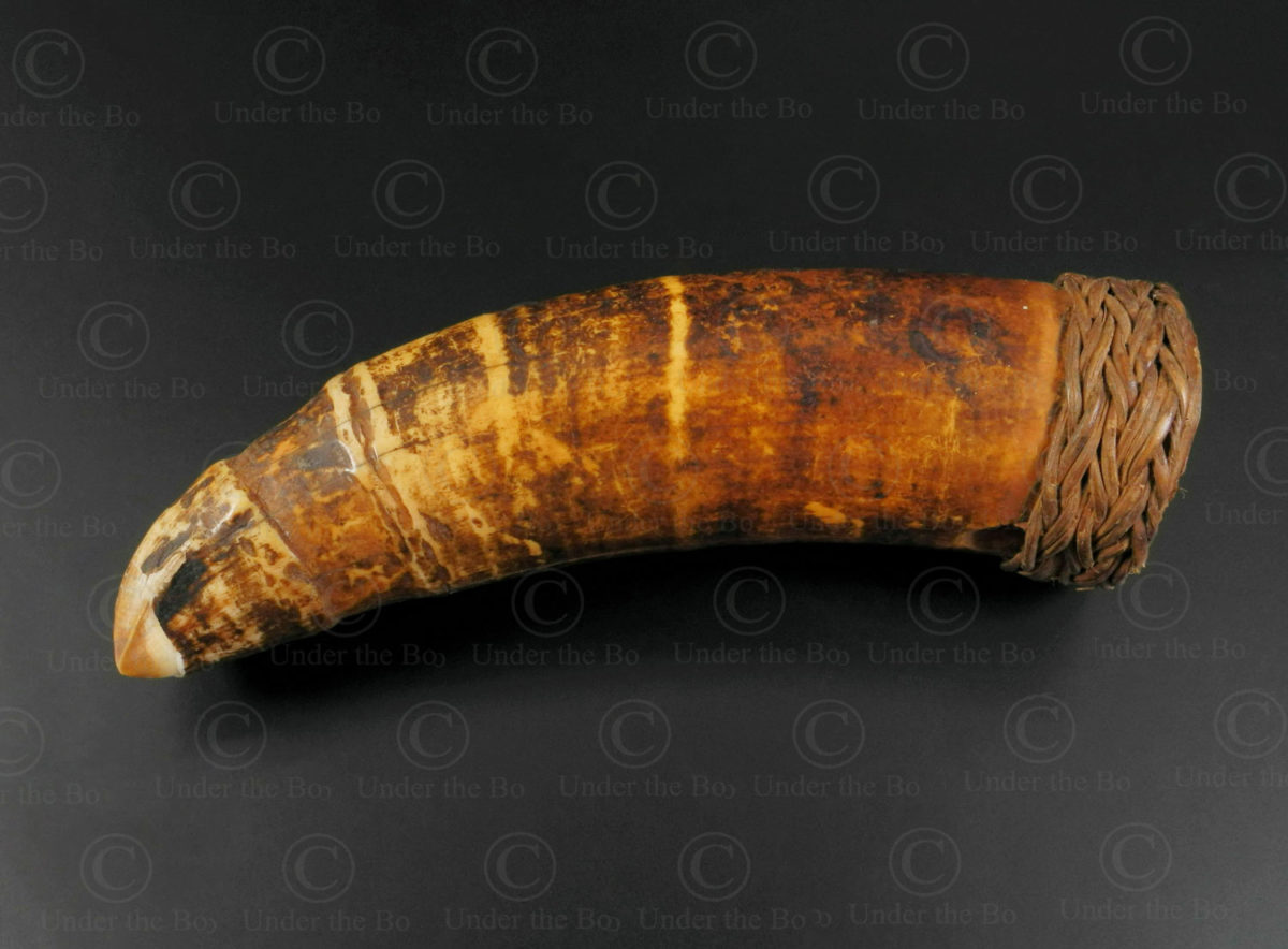 Crocodile fang box BO264. Iban Dayak culture, M'baloh river area, West ...