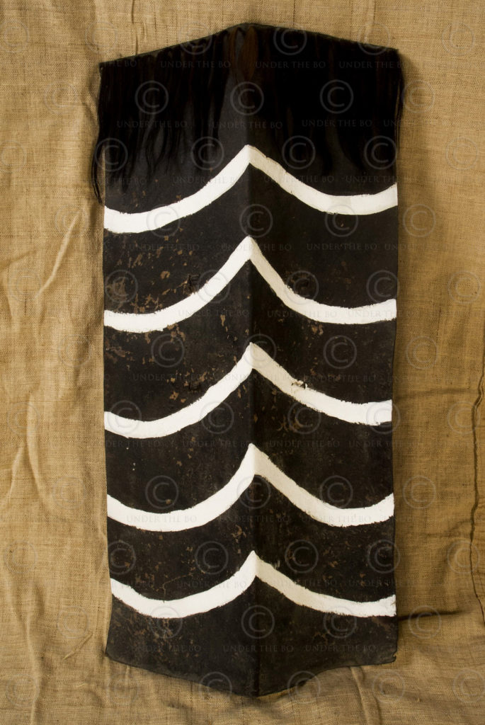 Naga shield NA66A. Nagaland, North-Eastern India.