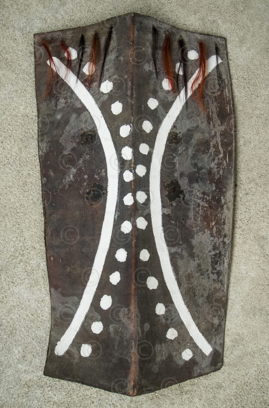 Naga shield NA66C. Nagaland, North-Eastern India.