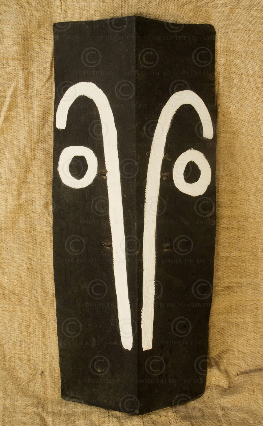 Naga Leather shield NA66W. Nagaland State, North-Eastern India.