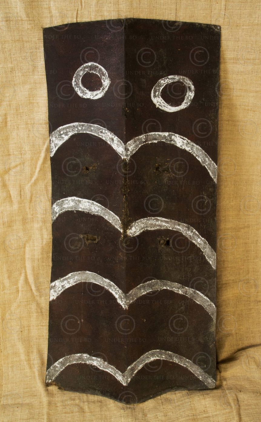 Naga shield NA67B. Nagaland, North-Eastern India.